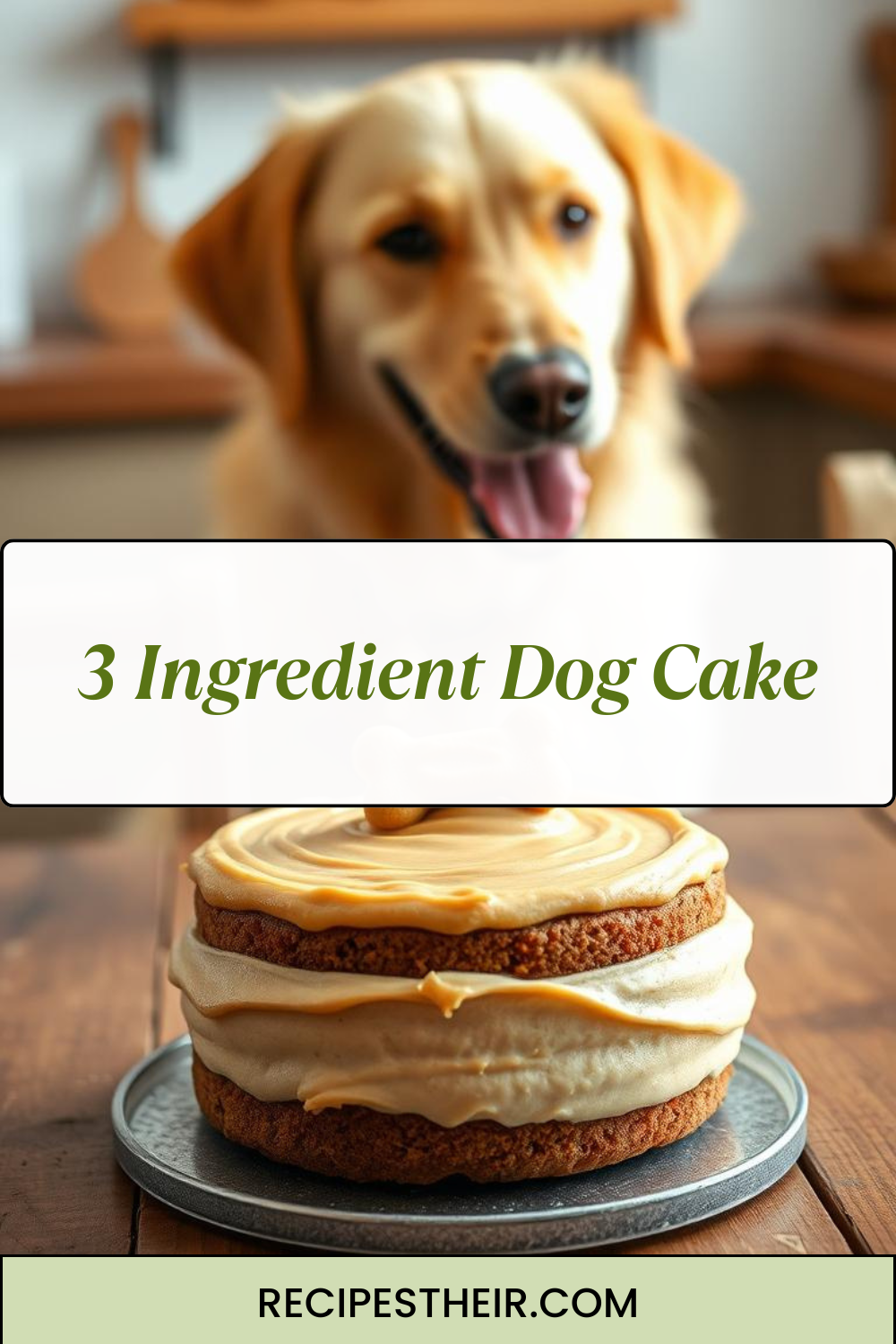 3 Ingredient Dog Cake: A Simple and Healthy Treat for Your Pup ...